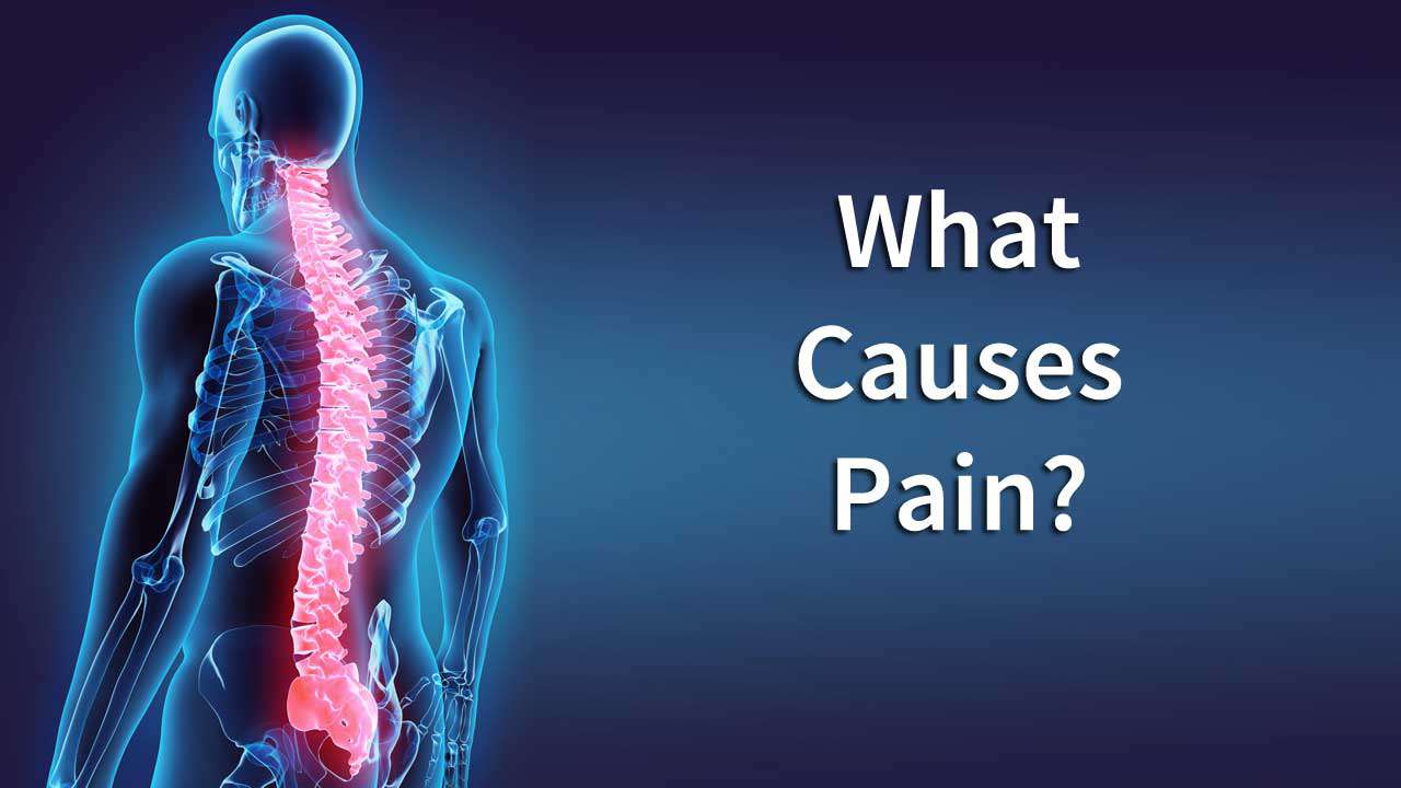 How Do You Treat Spinal Nerve Damage and Its Pain? - BioXcellerator