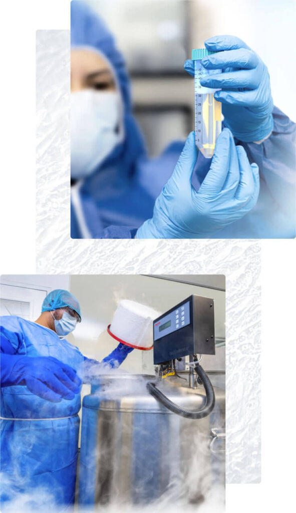 Science - Stem Cells Therapy | BioXcellerator