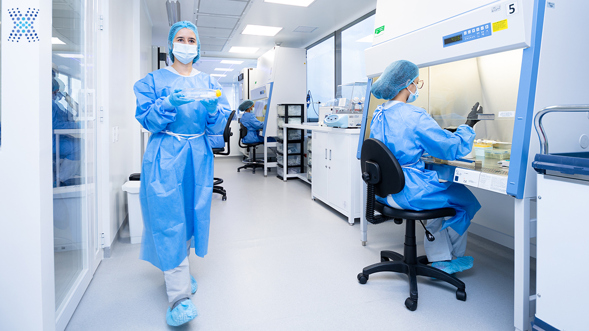 How to Select the Best Stem Cell Clinic - BioXcellerator